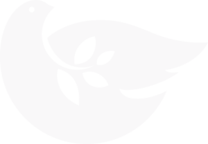 Third Time’s the Charm as Stepinac Wins Archdiocesan ‘AA’ Basketball ...