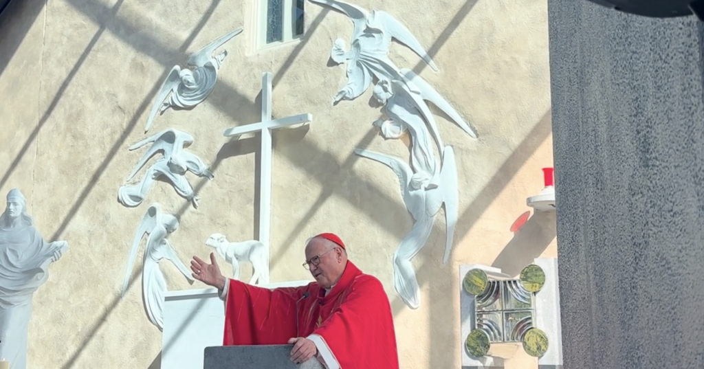A Word from Cardinal Dolan: Homily from Knock - The Good Newsroom