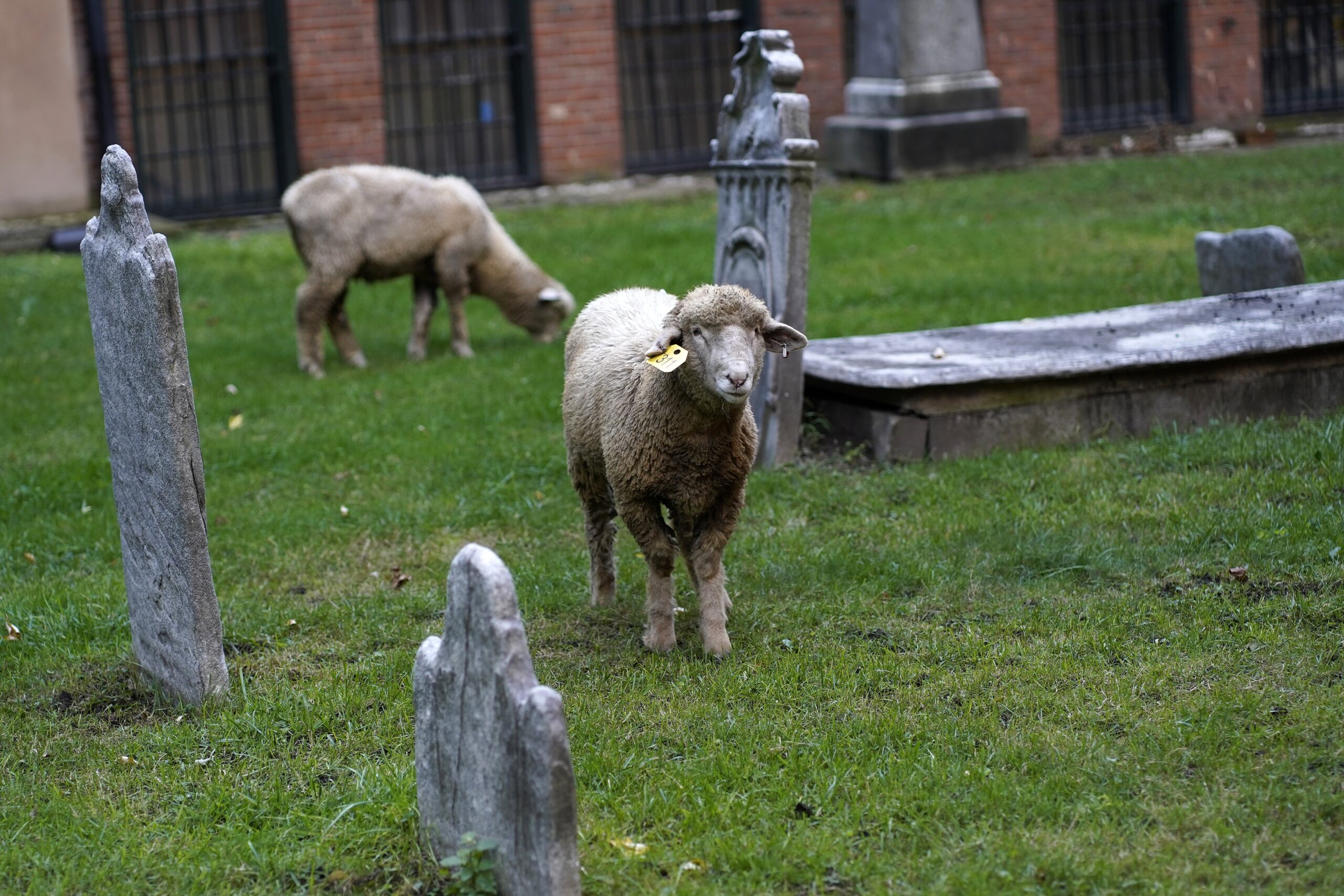 Popular Catacomb Tours at New York Cathedral Offer Lessons in the City ...