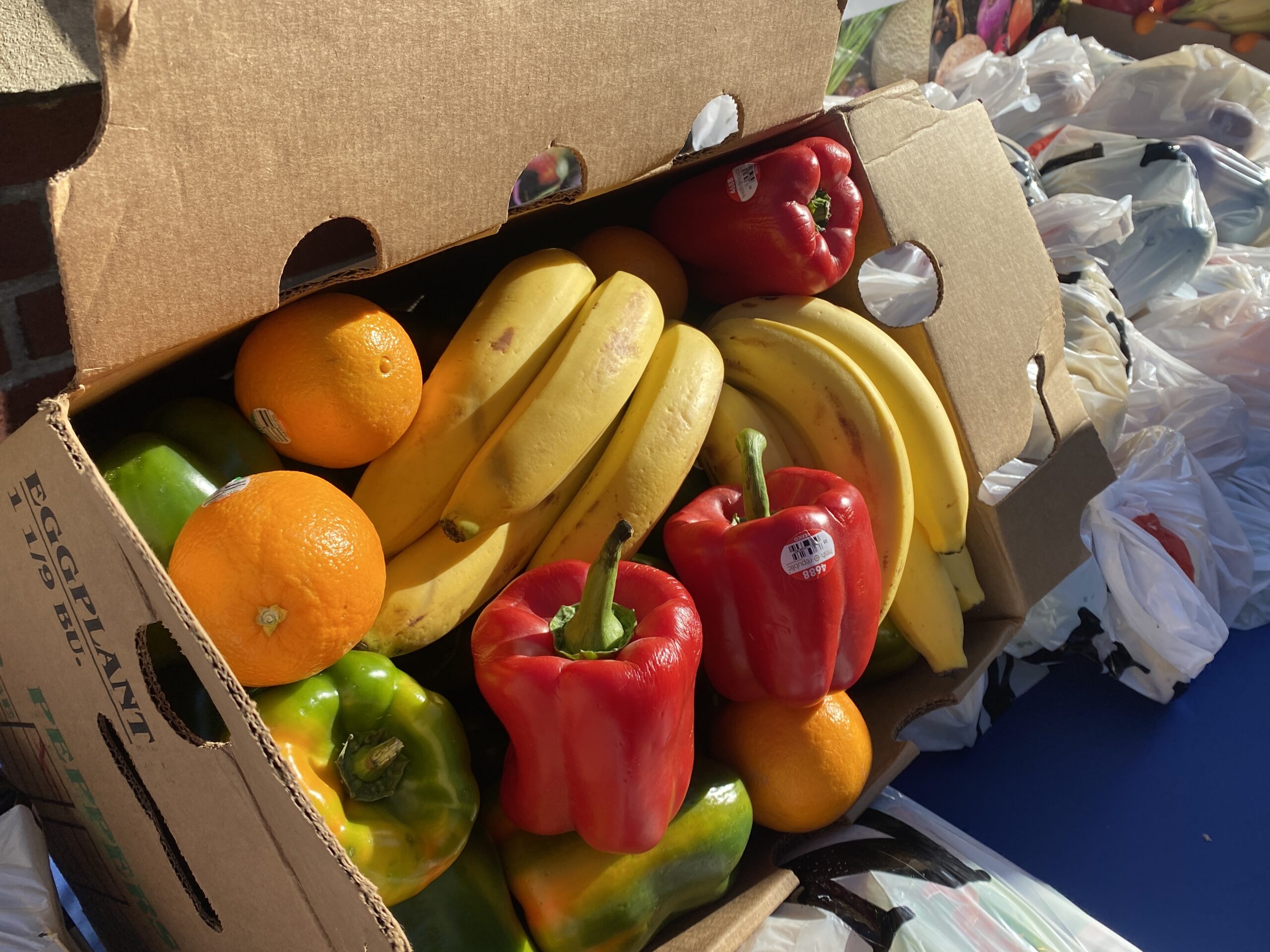 Catholic Charities of New York Organizes Ash Wednesday Food ...