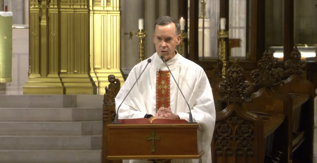 Fr. Donald Haggerty’s Homily: July 18, 2024 - The Good Newsroom