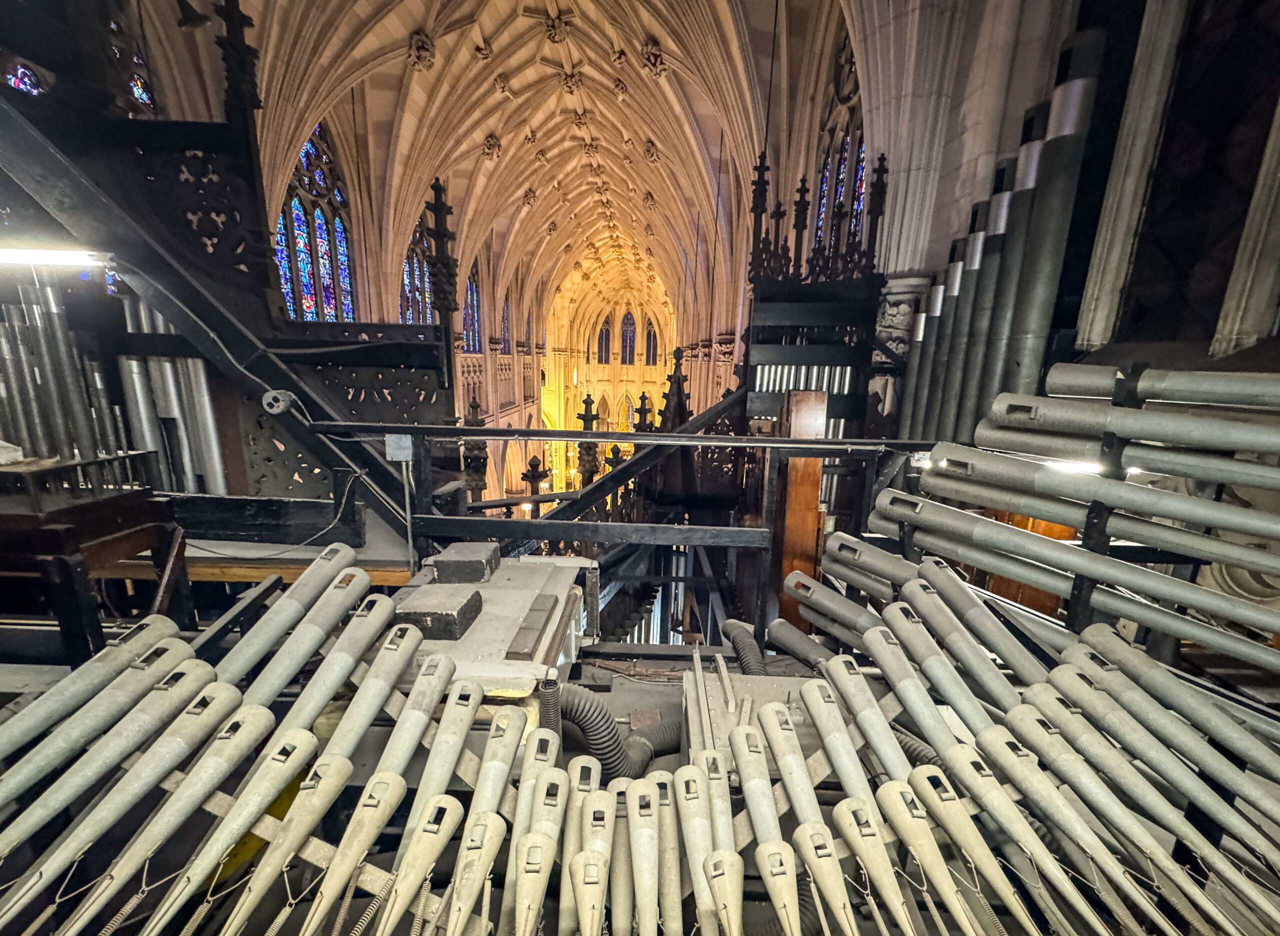 A Grand Revival: St. Patrick’s Cathedral Set To Restore Historic Kilgen ...