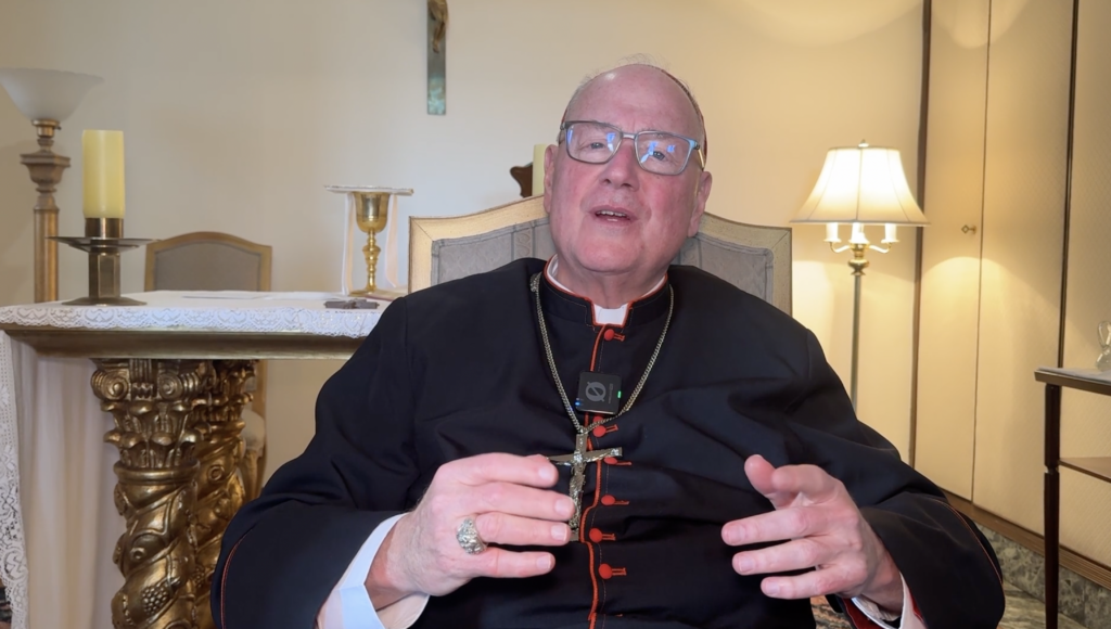Cardinal Dolan Discusses Pope Leo XIV From Rome - The Good Newsroom