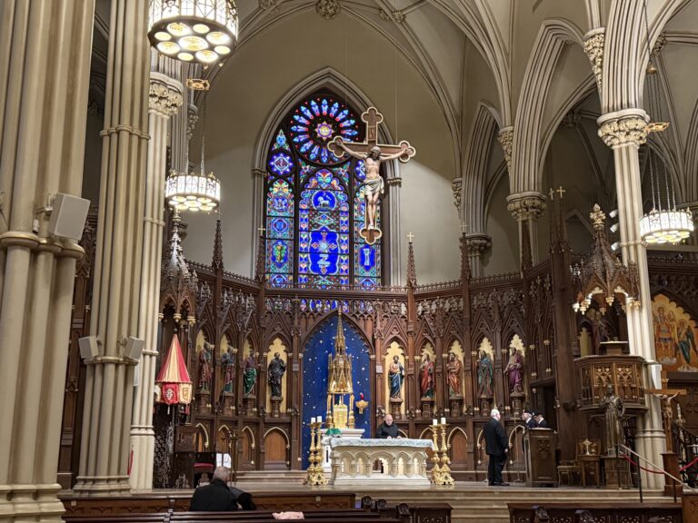 A History of the Basilica of St. Patrick's Old Cathedral in Lower ...