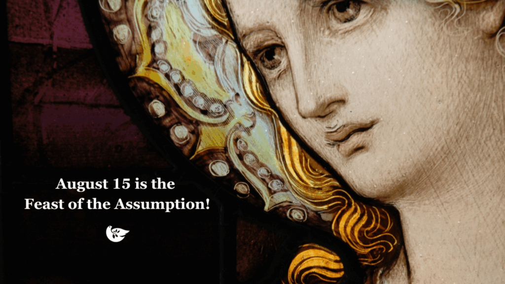 August 15 – Feast of the Assumption - The Good Newsroom