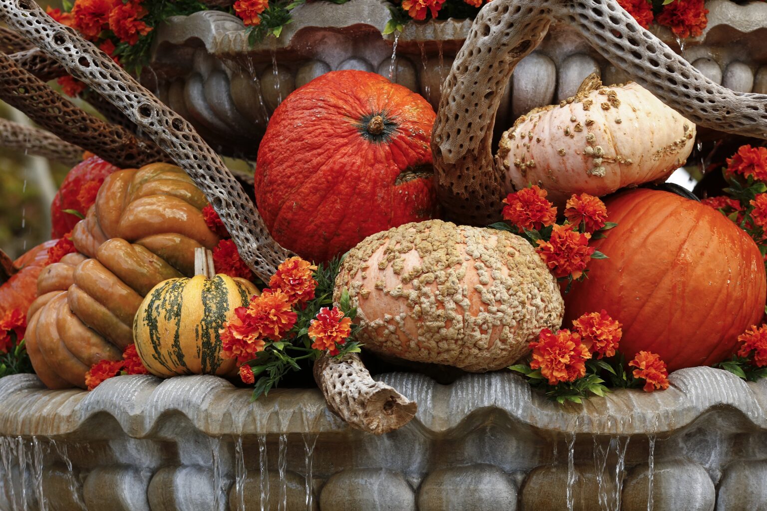 Catholic Charities Community Services of Rockland Exceeds Goal for ...